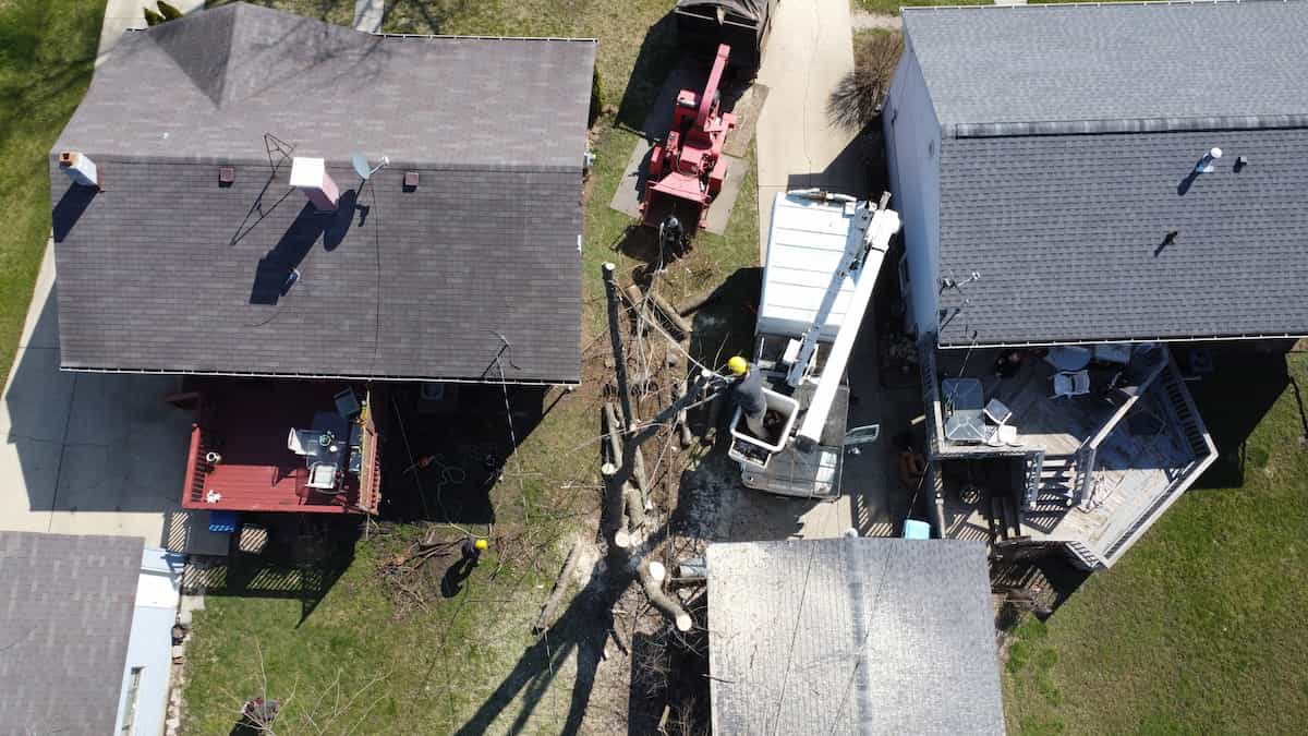 Emergency Storm Clean-Ups – NIC Tree Servics